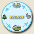 Nature Bytes Video - Ecology